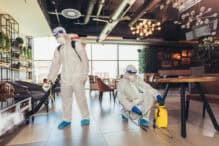 Comparing DIY vs Professional Disinfection Methods