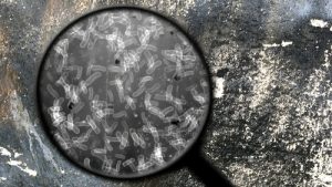 The Science Behind Disinfectants: How They Kill Germs and Viruses